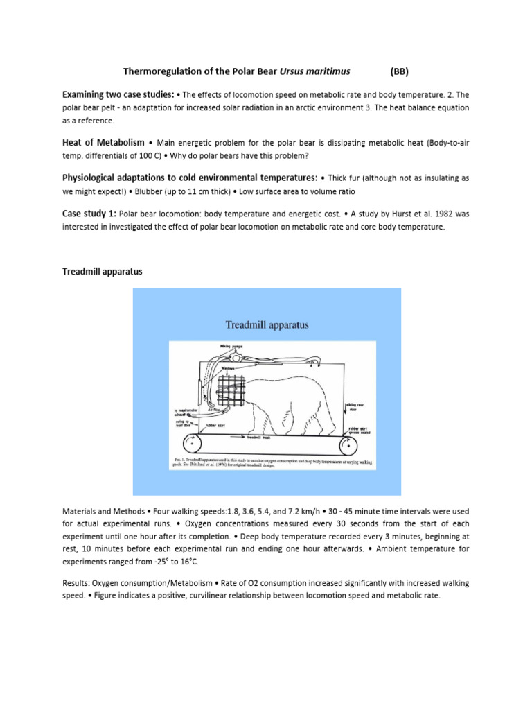 Thermoregulation Polar Bear | PDF | Thermoregulation | Fur