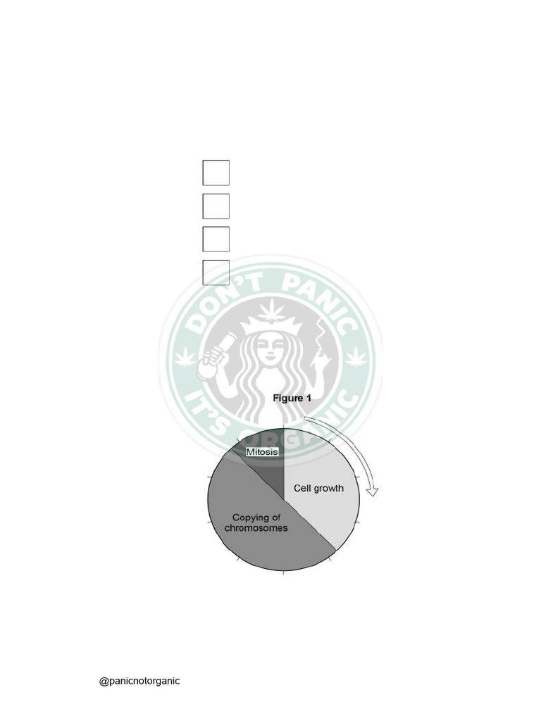 Cell Division Watermark | PDF | Allele | Reproduction