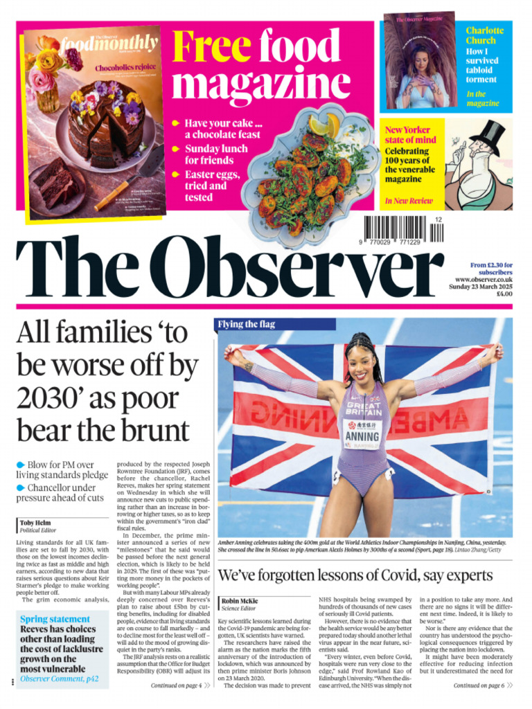 The Observer | PDF