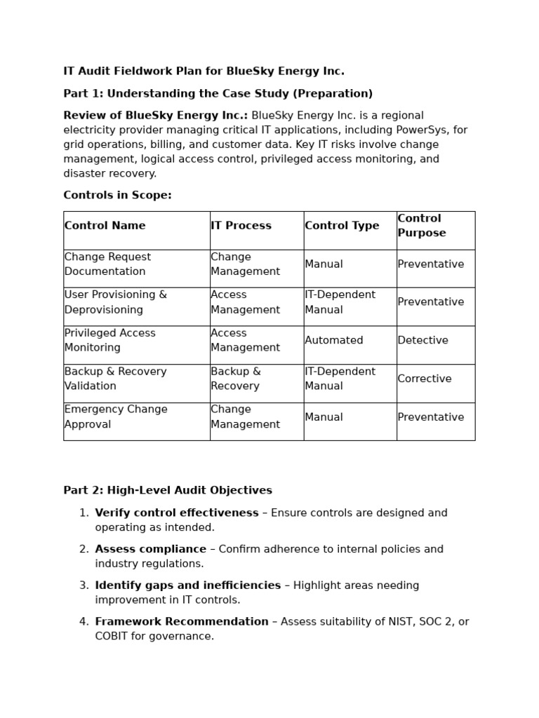 IT Audit Fieldwork Plan for BlueSky Energy Inc | PDF | Audit