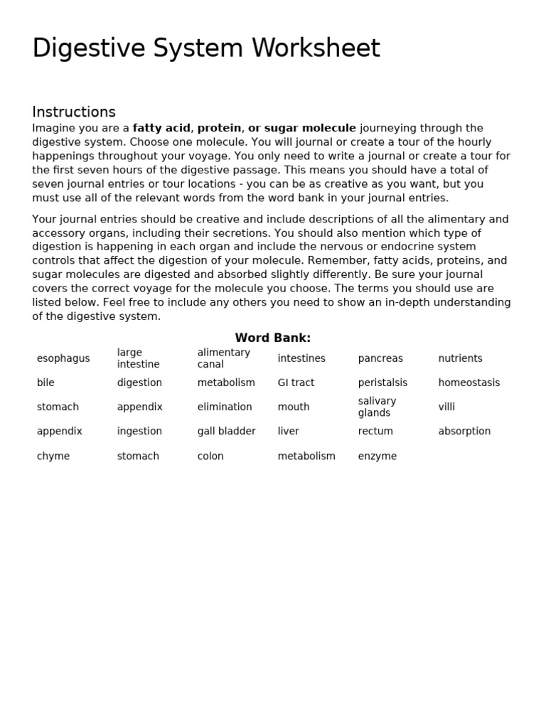 Digestive System Journey Journal | PDF