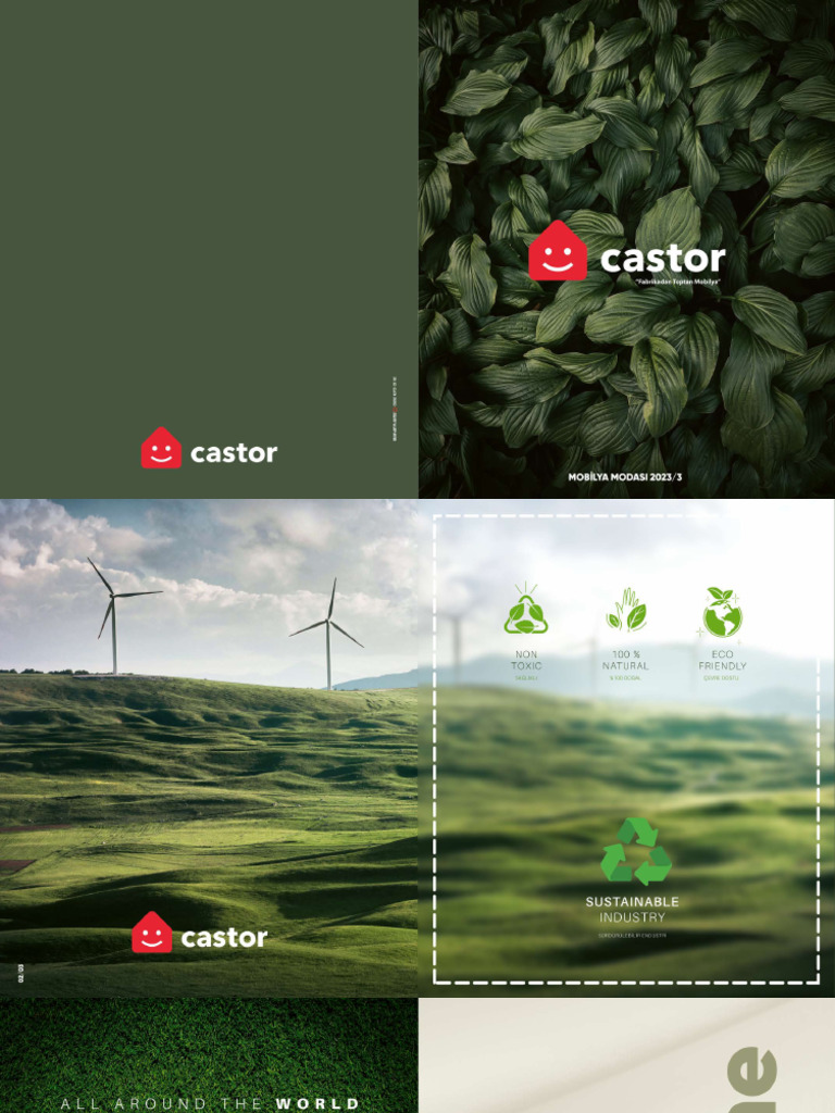 Castor | PDF