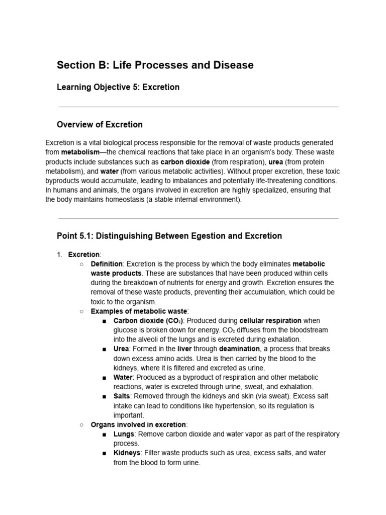 Excretion: Key Processes and Importance | PDF | Respiratory System ...