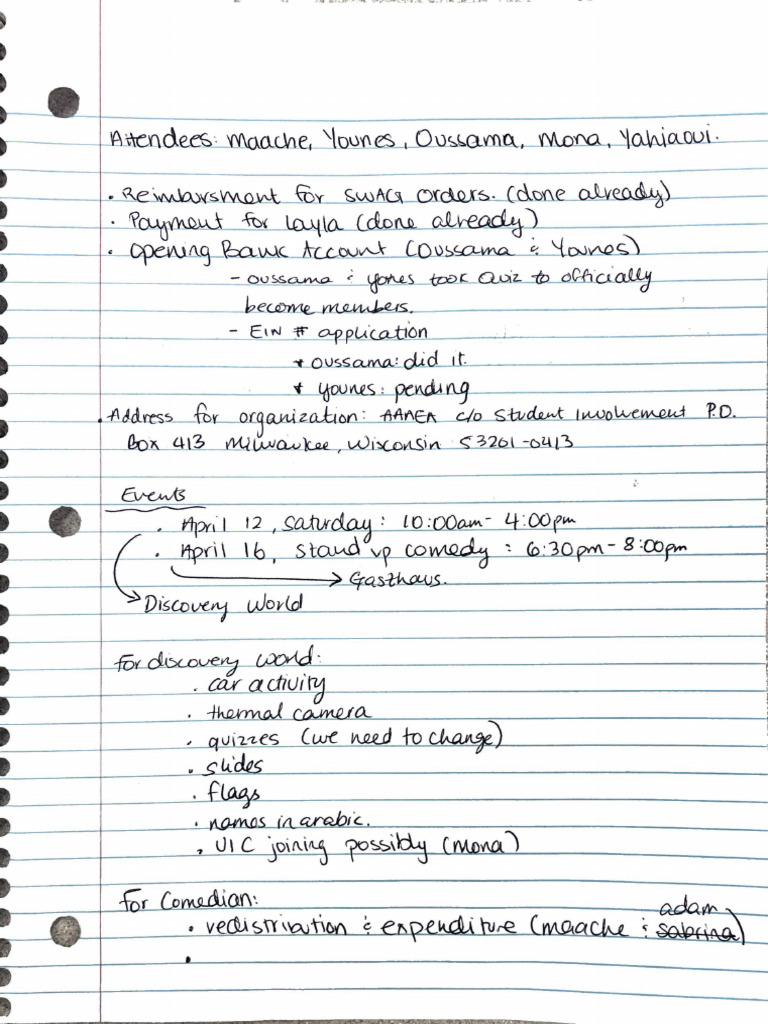28-03-2025 AAAEA-MSO Meeting Notes | PDF