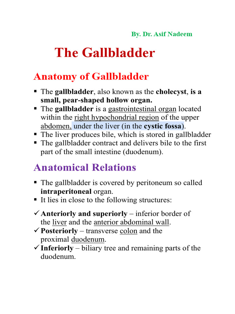 Gallbladder Anatomy and Function Overview | PDF | Gallbladder | Bile