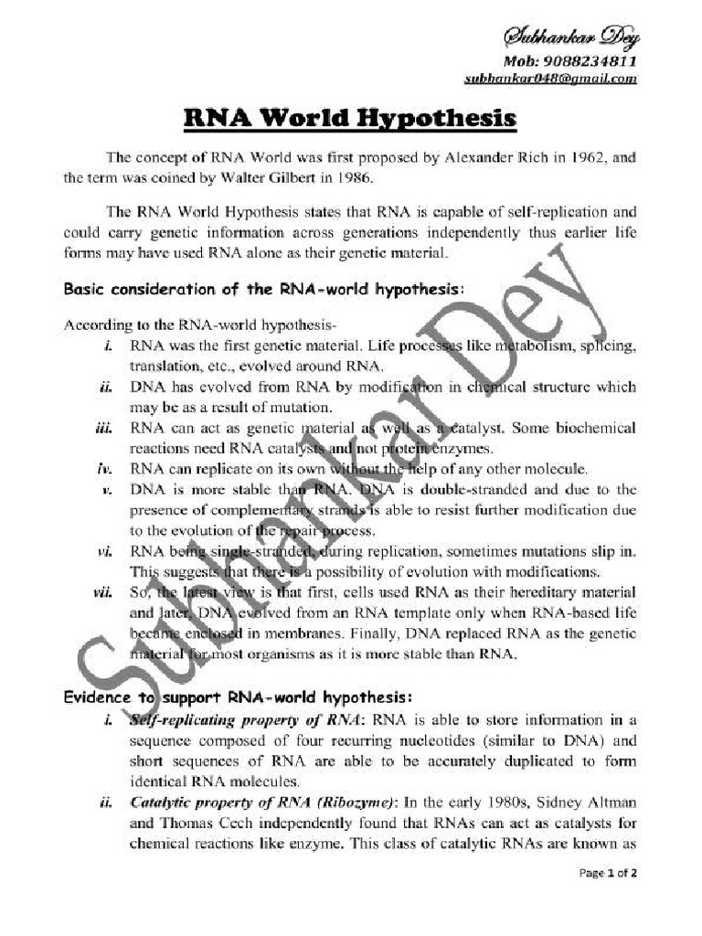 RNA WORLD HYPOTHESIS | PDF