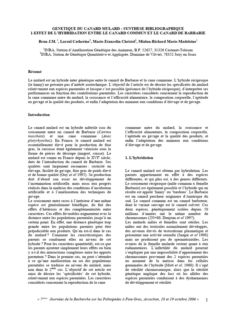 Hybride Mulard : Génétique et Performances | PDF | Hybride (Biologie ...