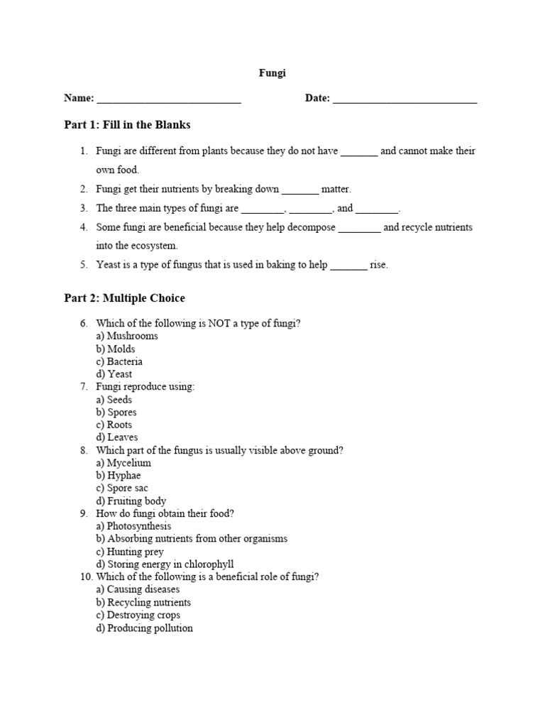 Fungi Worksheet 6th Grade | PDF