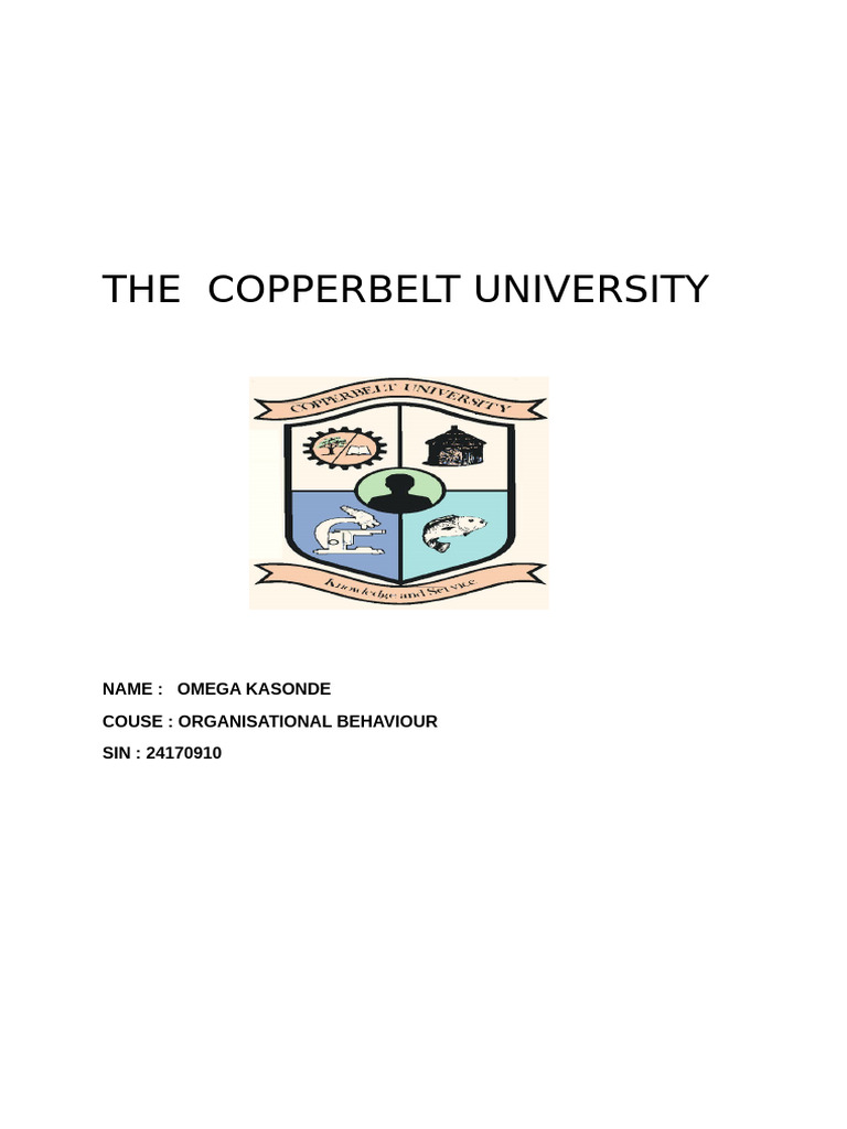 Diversity Assignment Copy Copy (Autosaved) (Autosaved) - 061541 | PDF | Motivational | Motivation