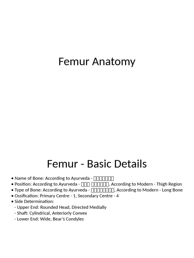 Femur Anatomy Overview and Details | PDF