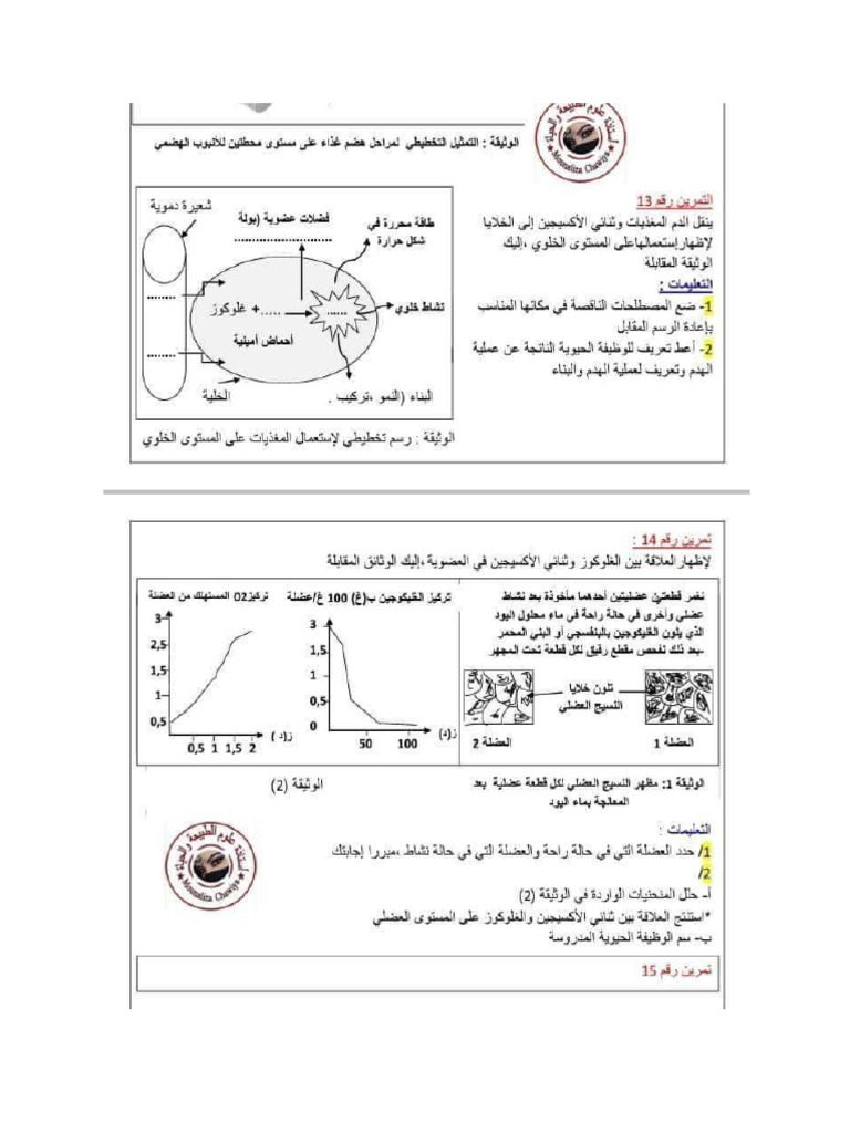 Iskander | PDF