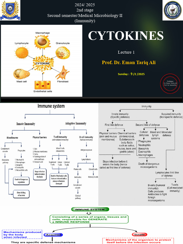 Cytokines in Immune Response by Eman Tariq | PDF | Cytokine | Immune System