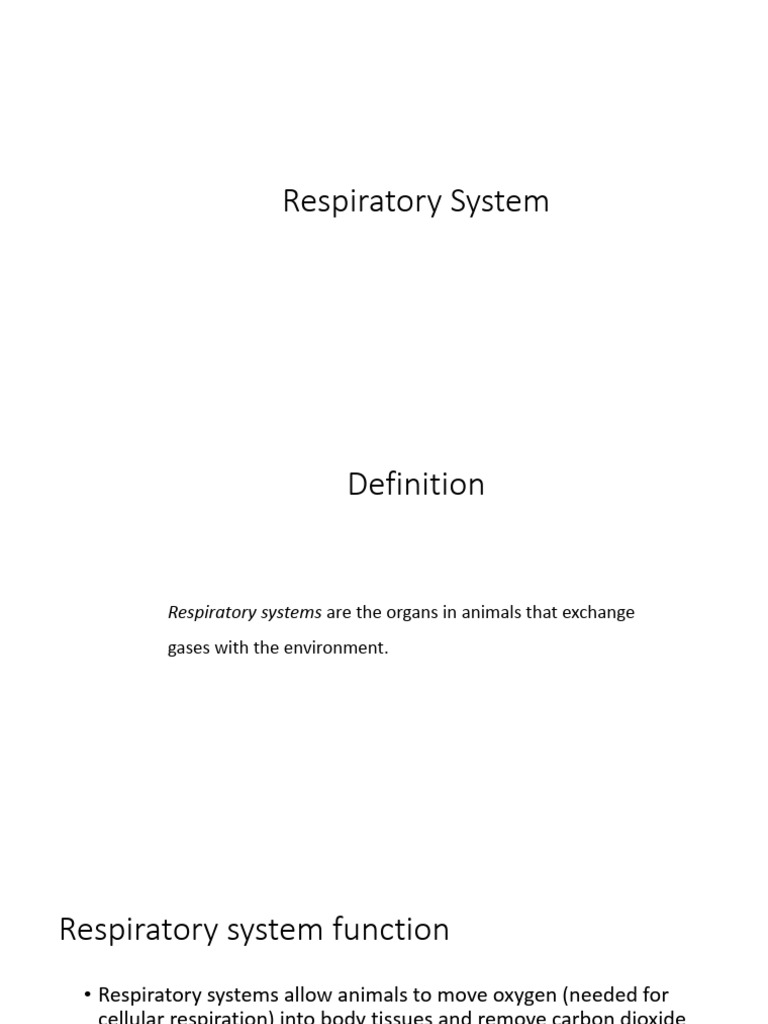 Respiratory and Excretory Systems | PDF | Respiratory System | Lung