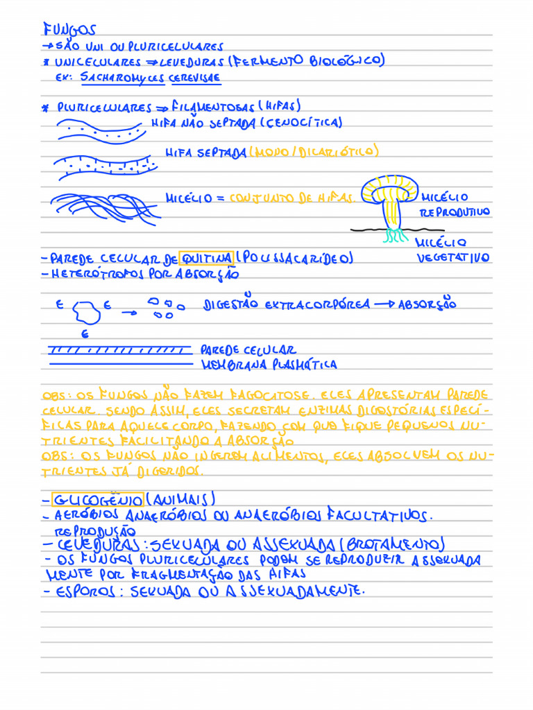 Fungos 250401 131001 | PDF