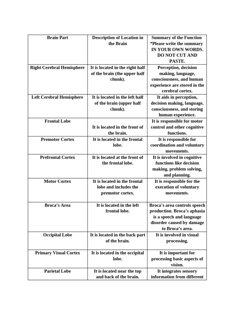 Overview of Brain Functions and Locations | PDF | Cerebrum | Frontal Lobe