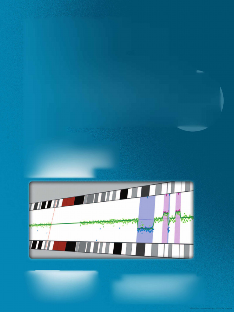 Iscn 2013 | PDF | Fluorescence In Situ Hybridization | Karyotype