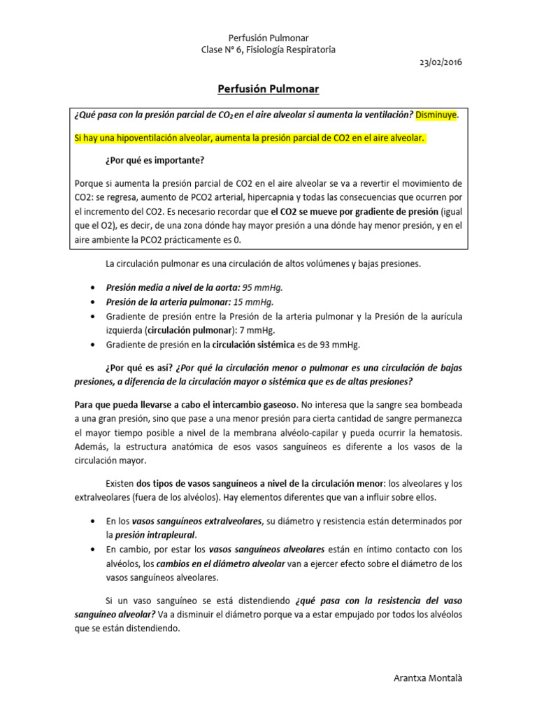Perfusión Pulmonar y Ventilación: Claves Fisiológicas | PDF | Pulmón ...