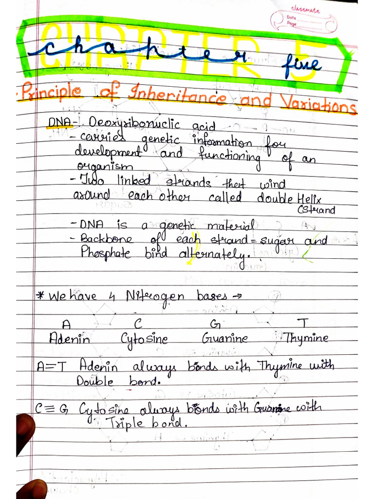 Class 12th Bio Chapter 5 | PDF