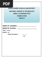 Grade 4 Natural Science Term 1 Test | PDF | Plants | Trees