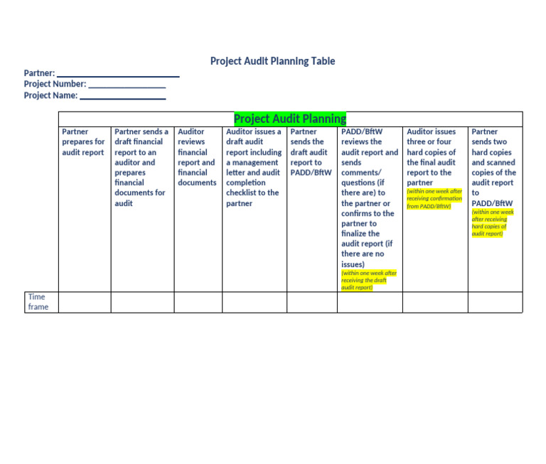 Project Audit Planning Process Guide | PDF | Auditor's Report | Accounting