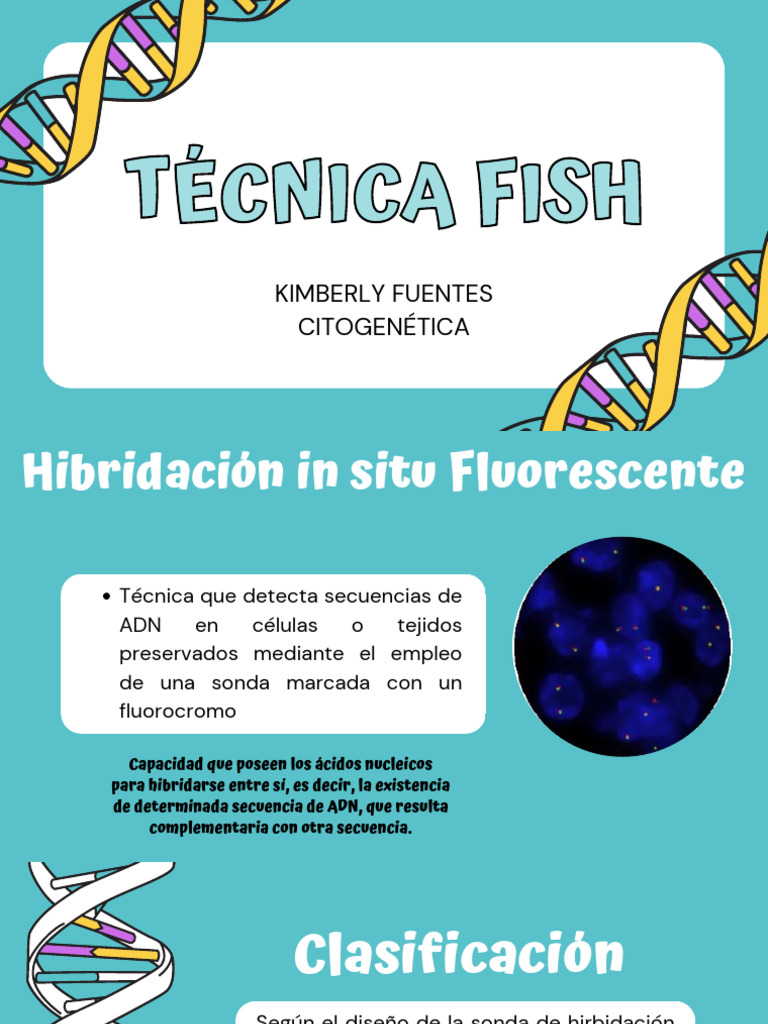 Técnica FISH | PDF