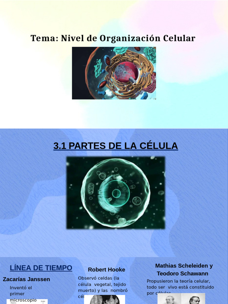 Estructura y Función de la Célula | PDF | Rna | Biología Celular)