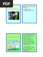 Ejemplos de Palabras Con El Prefijo Bio | PDF | Tierra | Biología