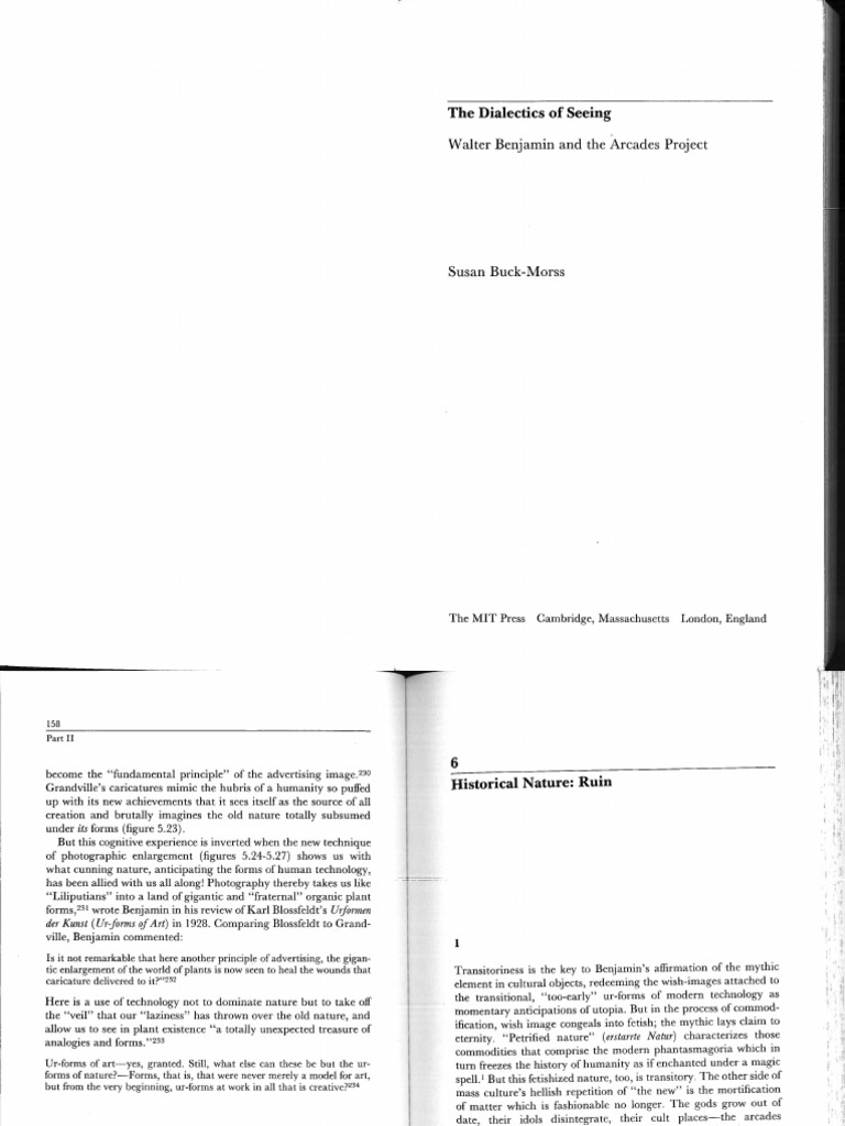 Buck-Morss - 1989 - Historical Nature Ruin | PDF | Theodor W. Adorno ...