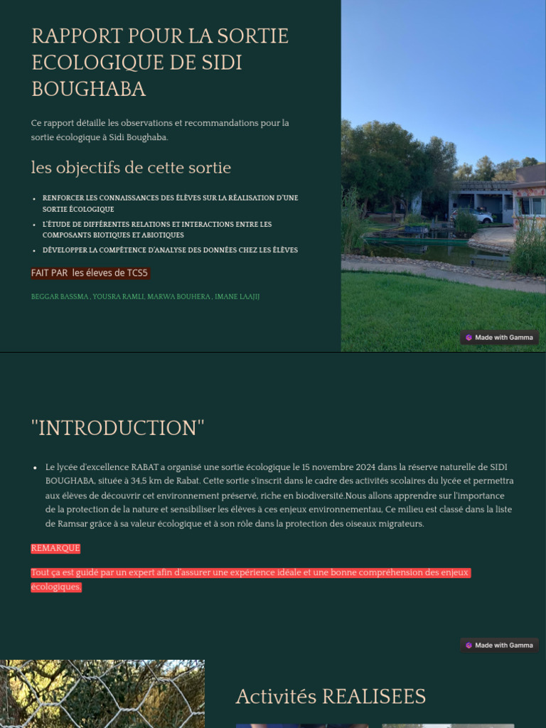 Rapport sur la sortie écologique à Sidi Boughaba | PDF | Écologie | Forêt