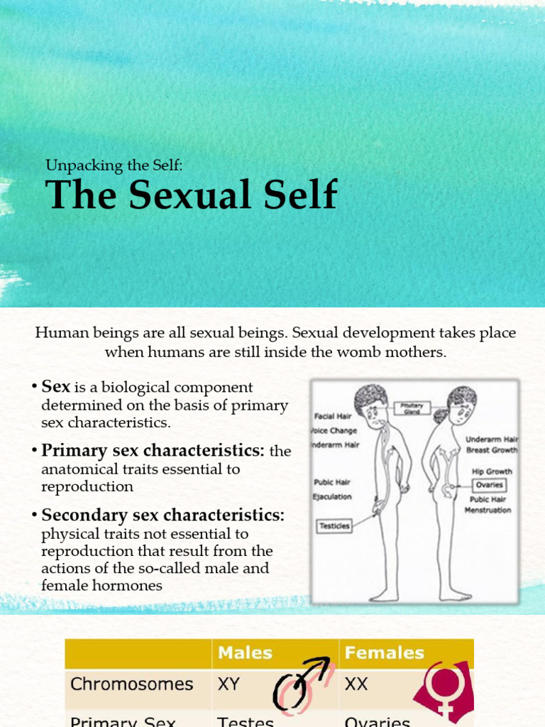 Understanding Puberty and Sexual Development | PDF | Puberty | Sex
