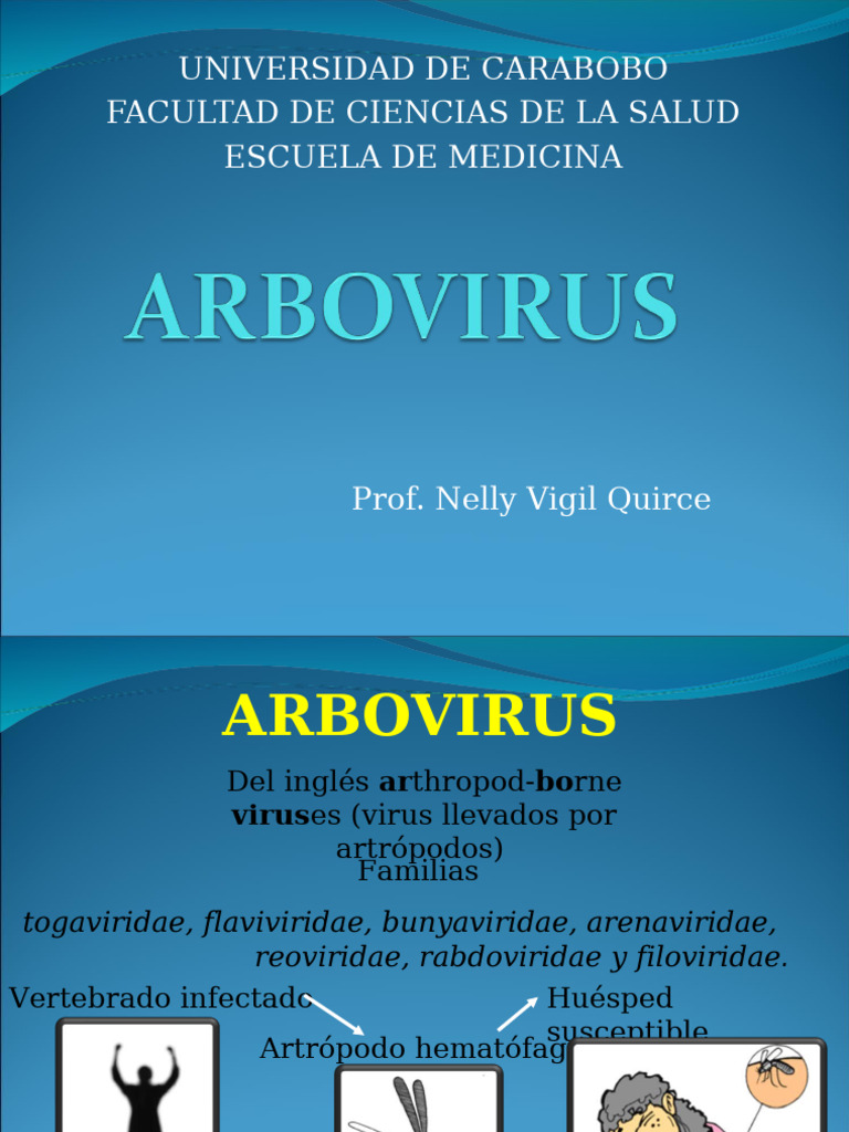 Arbovirus: Dengue y Encefalitis Equina | PDF | Virus | Especialidades ...