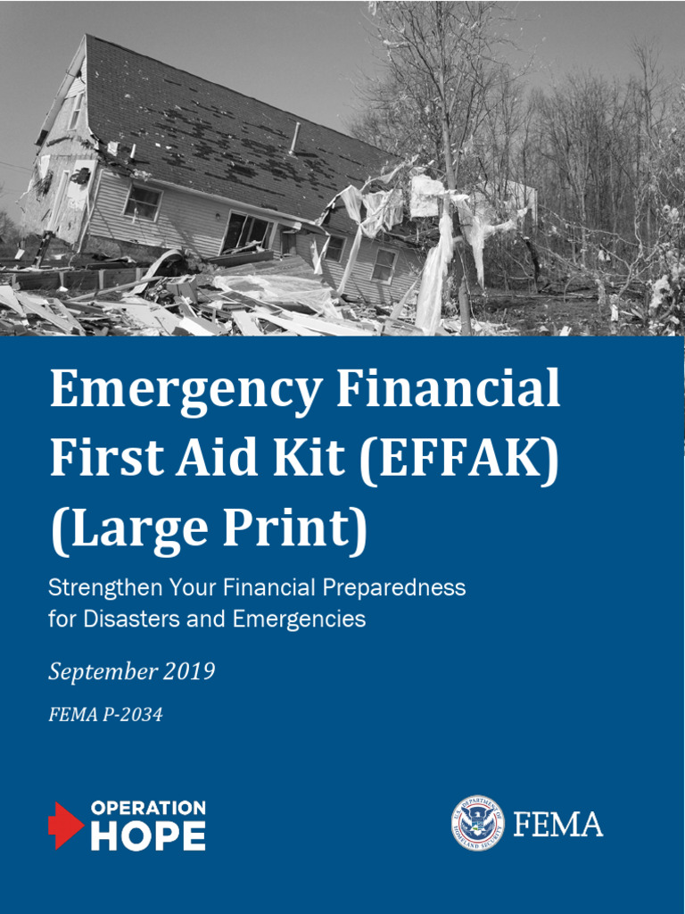 Fema Effak Toolkit Large Print | PDF | Identity Document | Emergency Management