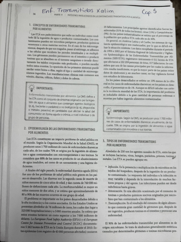 Capítulo 5 Micro | PDF