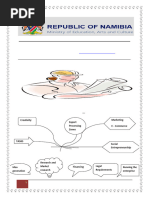 Grade 9 Namibia History Exam Paper | PDF | Namibia | Multiple Choice