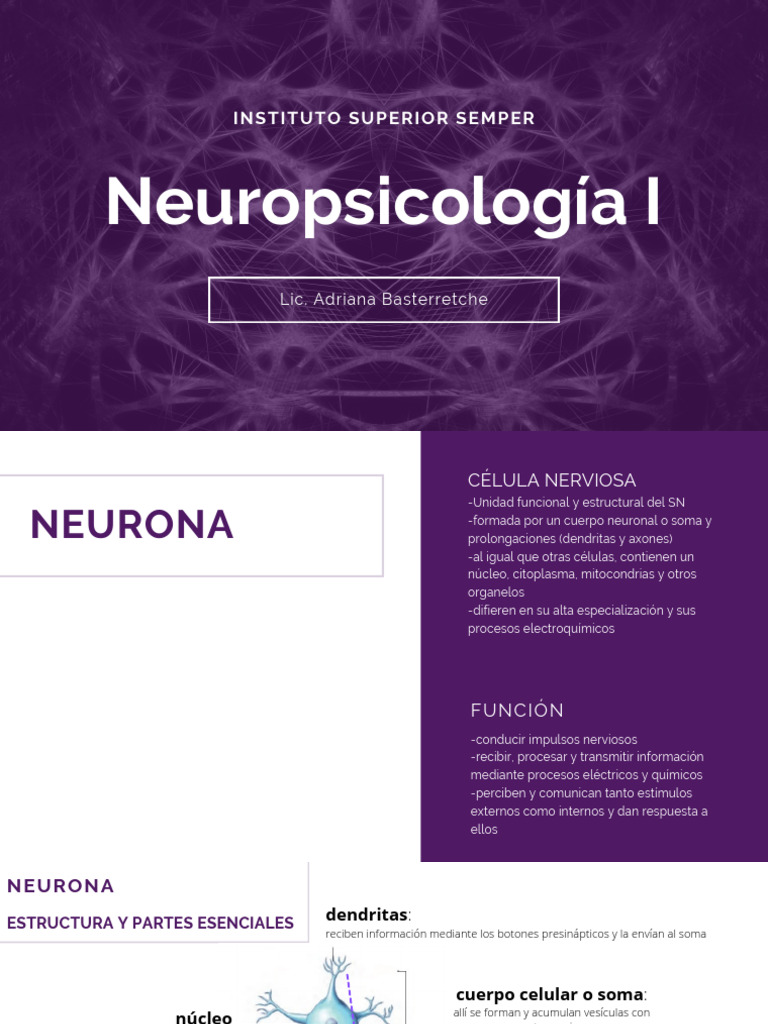3 NEURONA Y TEJIDO NERVIOSO PDF 3 | PDF | Neurona | Axon
