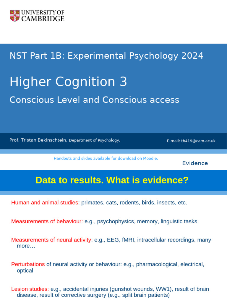 Consciousness and Neural Activity Insights | PDF | Consciousness ...
