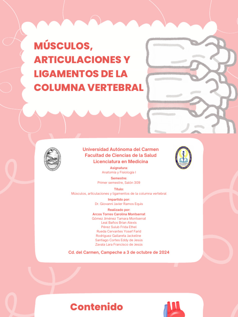Ligamentos, Articulaciones y Músculos de La Columna Vertebral | PDF | La columna vertebral ...
