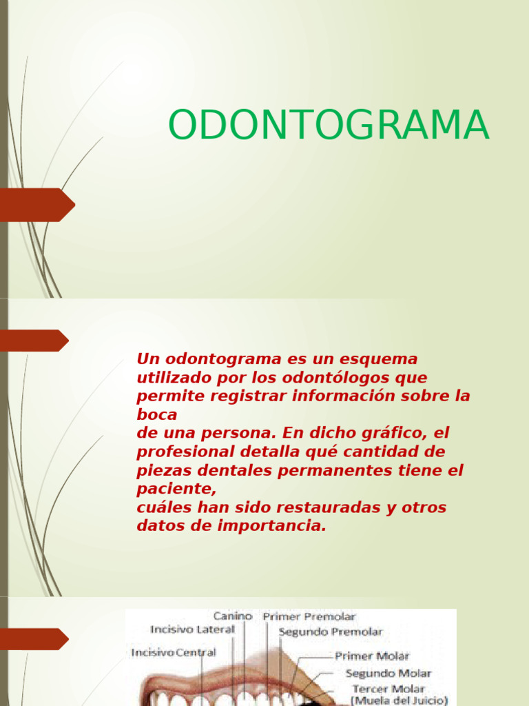 ODONTOGRAMA | PDF