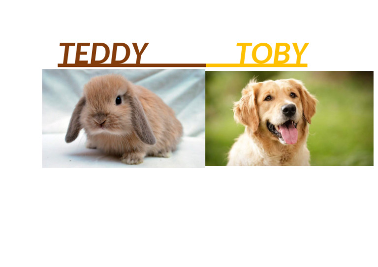 Teddy Toby | PDF
