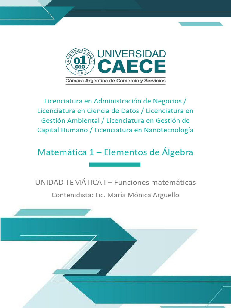 Elementos de Algebra-Unidad 1 | PDF | Función (Matemáticas) | Número Real