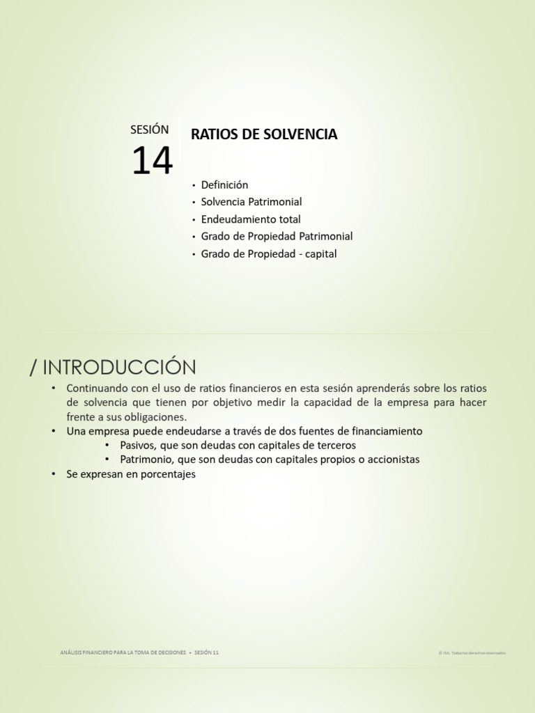 3-Ratios de Solvencia | PDF | Deuda | Bienes (Ley)