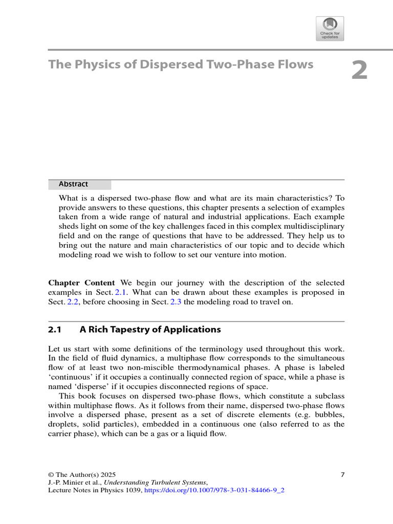 The Physics of Dispersed Two-Phase Flows | PDF | Interstellar Medium ...