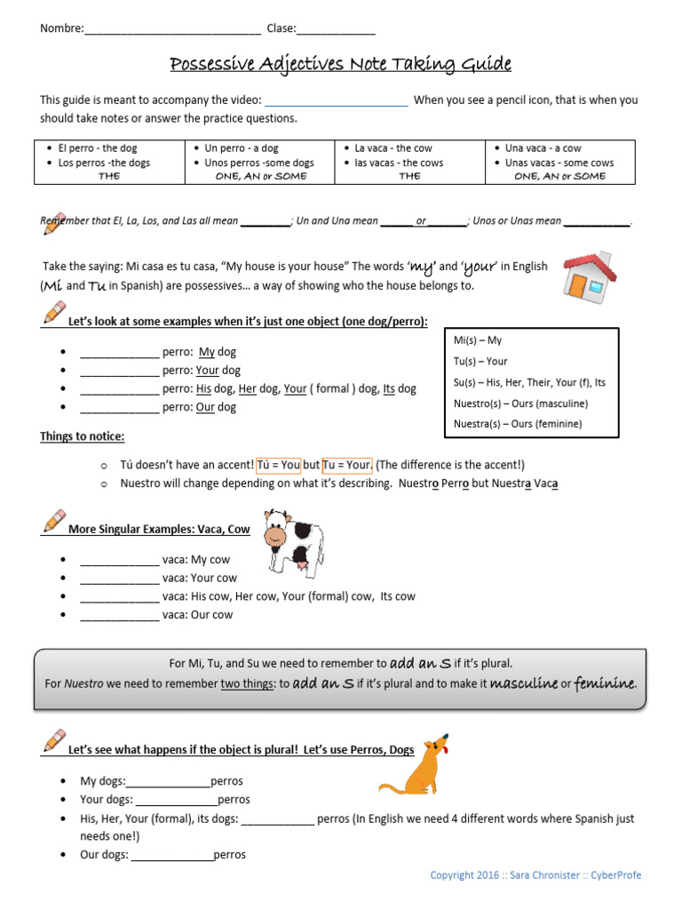 Possessive Adjectives Guided Notes | PDF | Plural | Grammatical Number