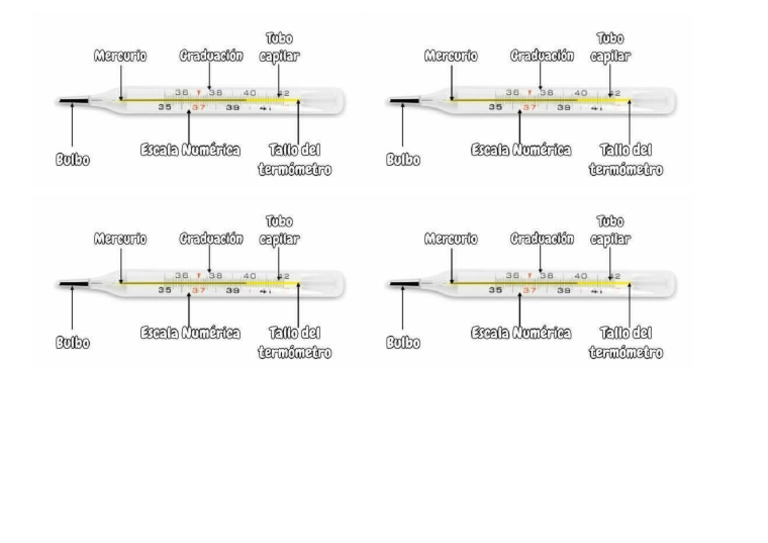 Termometro y Sus Partes | PDF