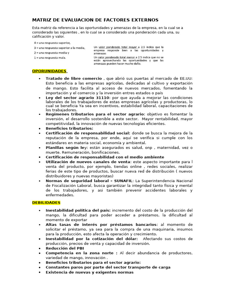 Matriz de Evaluacion de Factores Externos | PDF | Marketing | Business