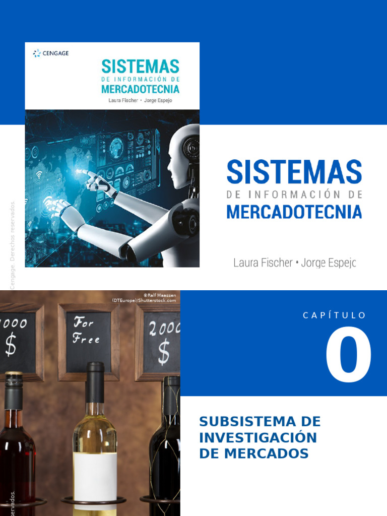 Fischer Cap04 | PDF | Investigación de mercado | Negocios económicos