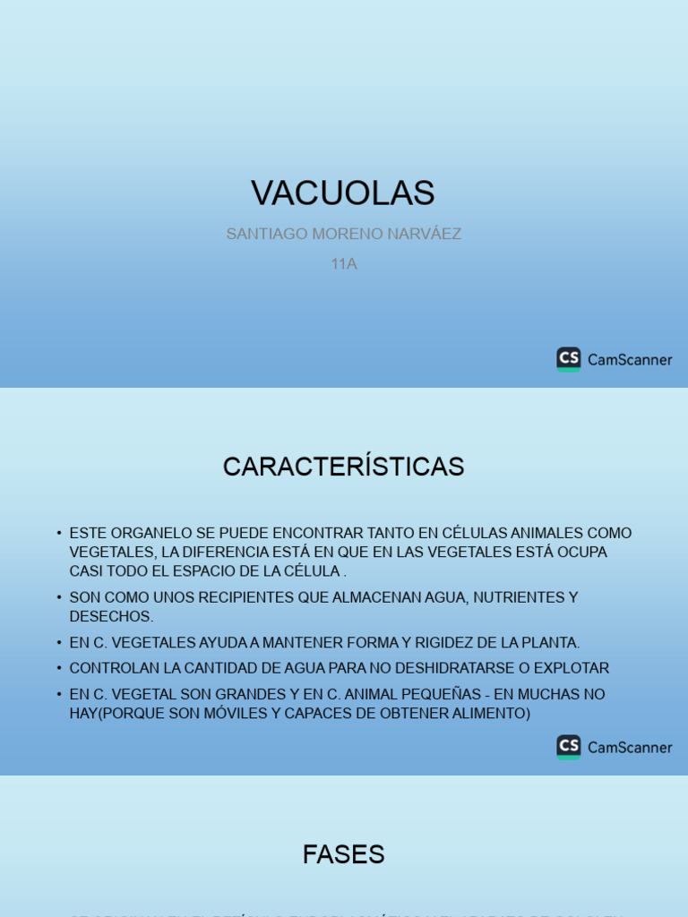 VACUOLAS. smn(1) | PDF