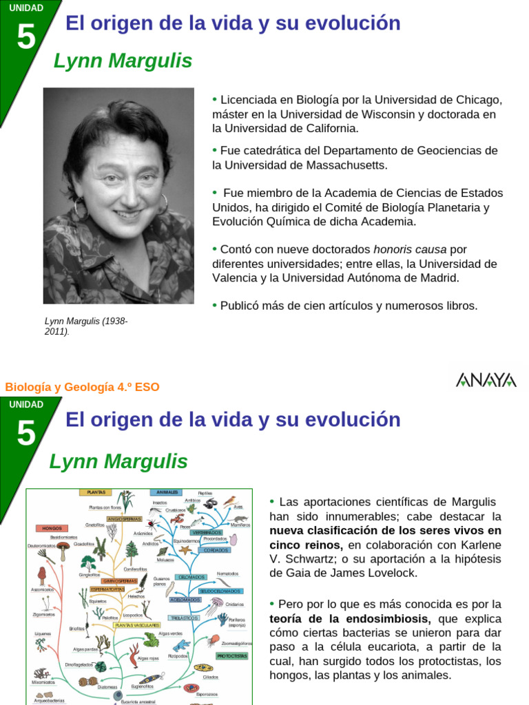 Aportaciones de Lynn Margulis a la Biología | PDF