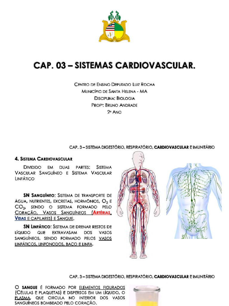Resumos Prof Bruno Andrade Cap. 03 - Sistemas Cardiovascular | PDF