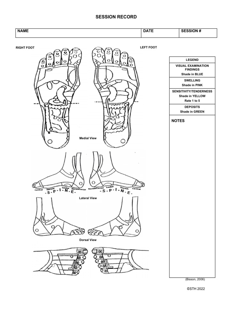 Session Record for Foot Examination | PDF